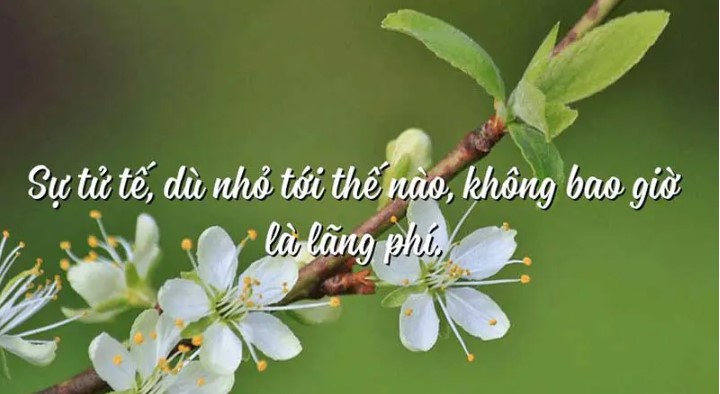 Người tử tế - Nguyễn Đức Duy [Qu Li]